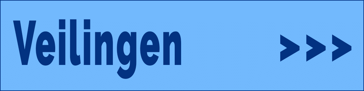 VakantieVeilingen.nl: stedentrip Londen, Parijs, Venetië, Rome of ...